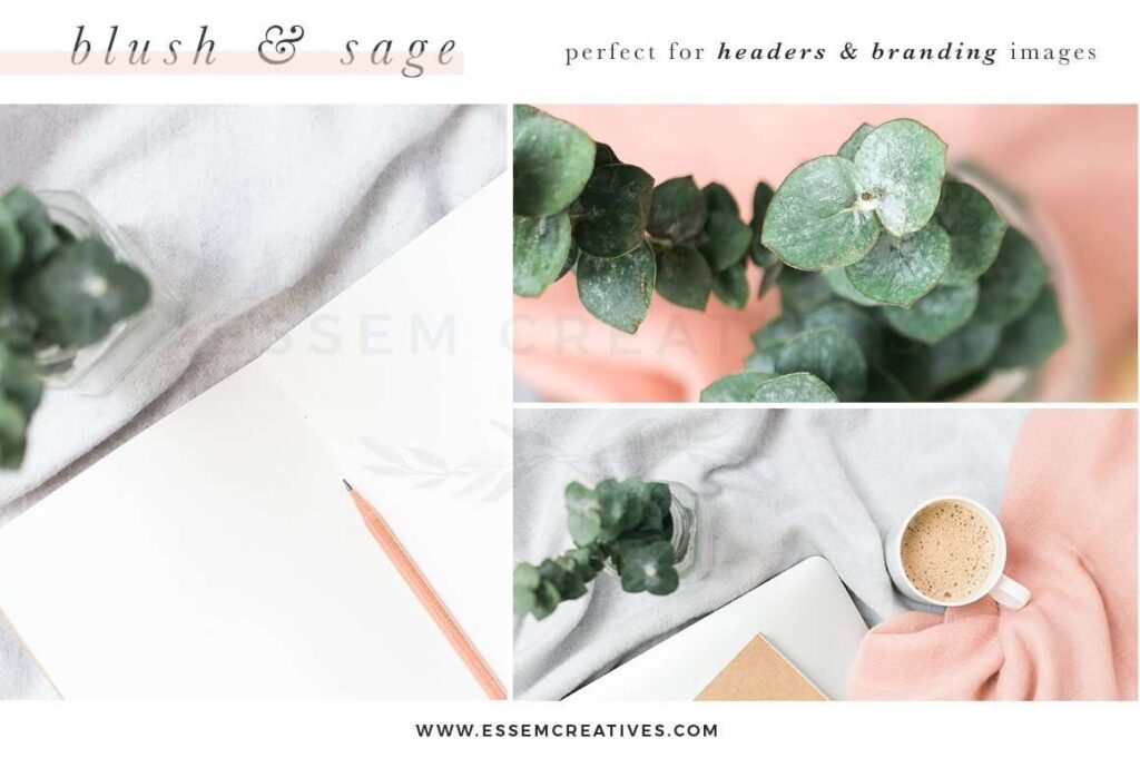 Blush and Sage Feminine Stock Photos and Social Media Branding Bundle