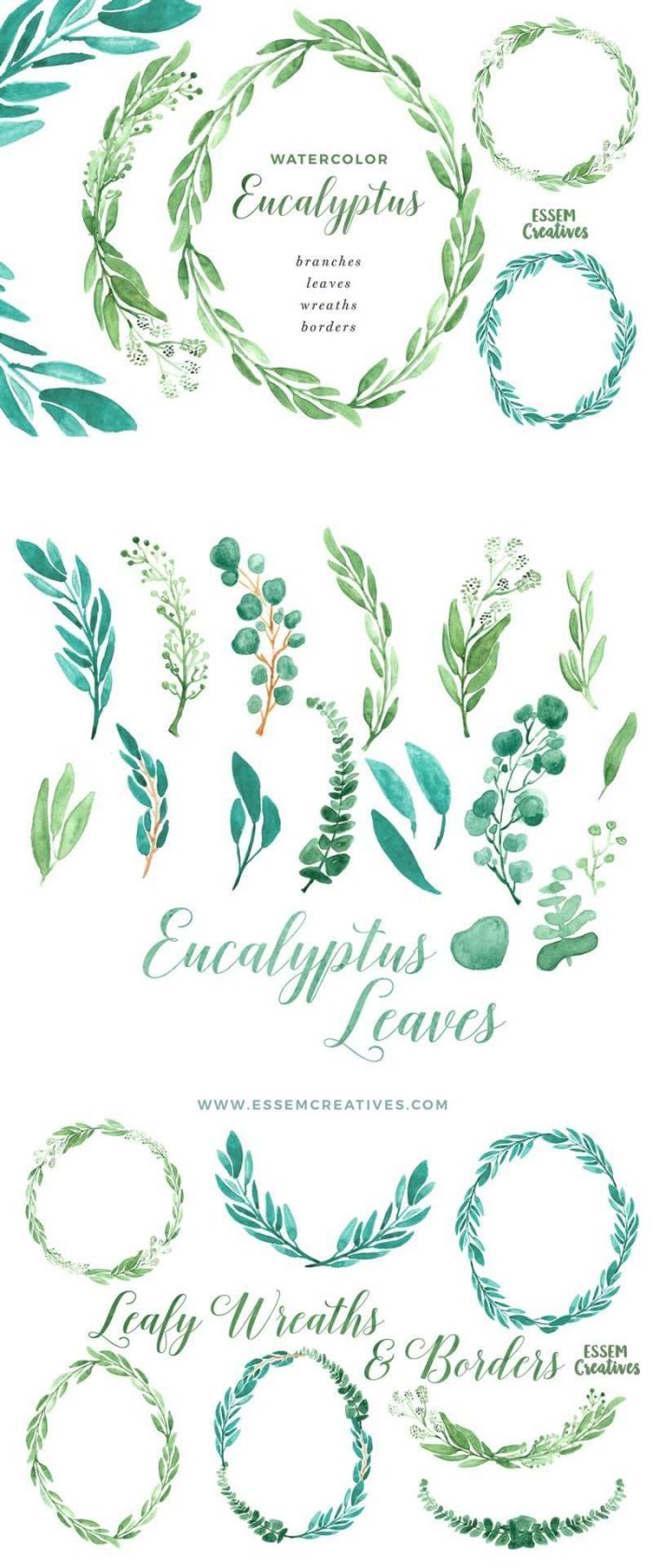 Watercolor Eucalyptus Clipart, Eucalyptus Branches Wreaths Borders and ...