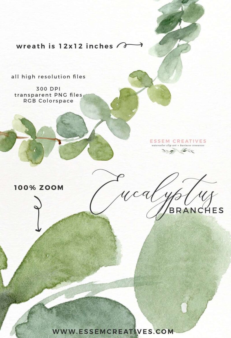 Watercolor Eucalyptus Wreath Branches Clipart PNG | Essem Creatives