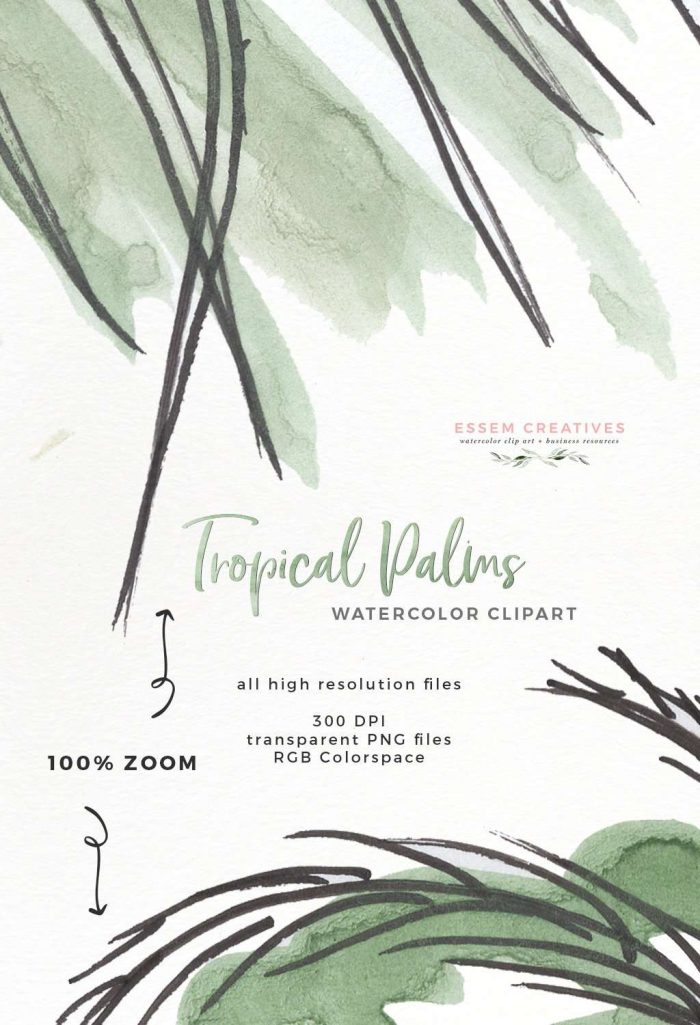 Tropical Palm Trees Fronds Leaf Print Greenery Clipart | Essem Creatives