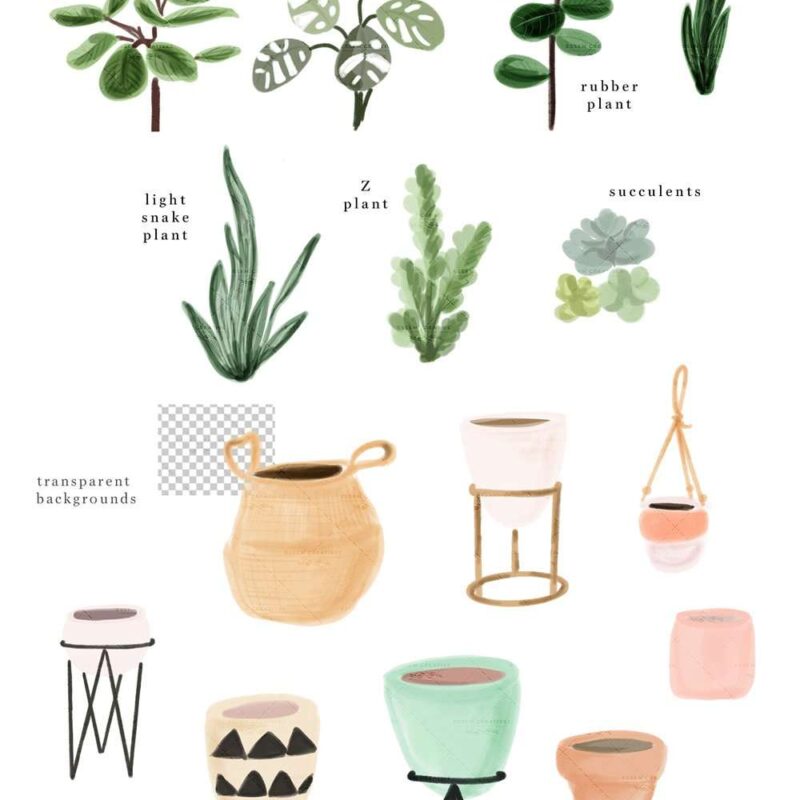 Watercolor House Plant Clip Art, Indoor Plants Potted Plant Graphics ...