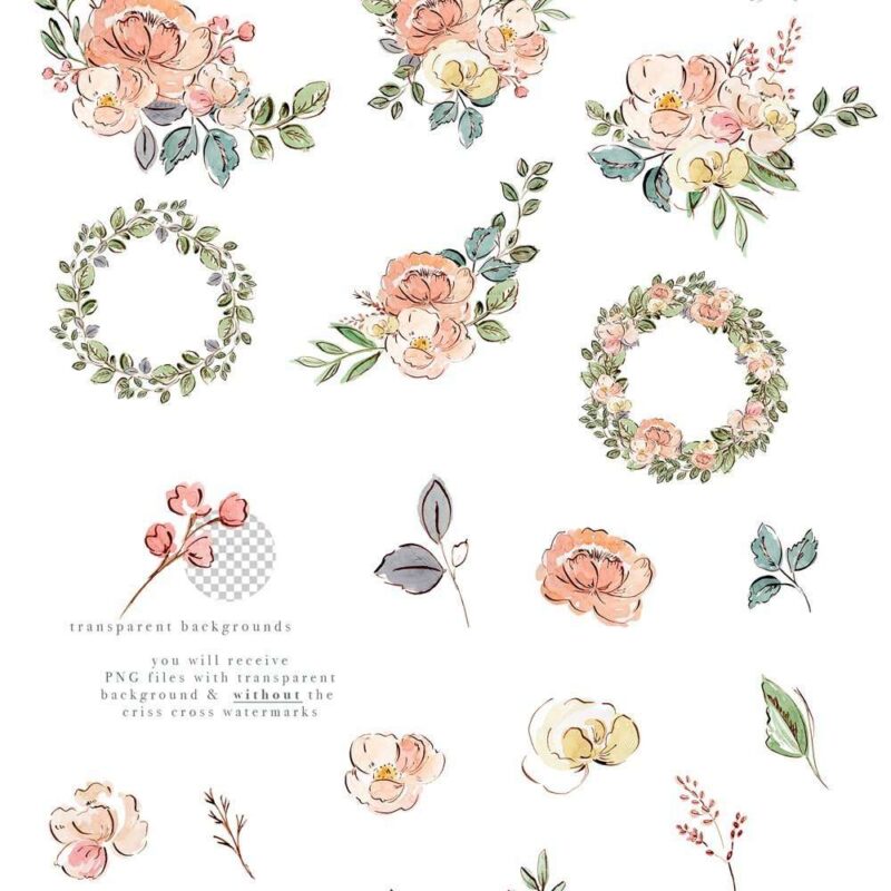 Summer Floral Watercolor Graphics Clip Art, Blush Pink Peach Yellow ...