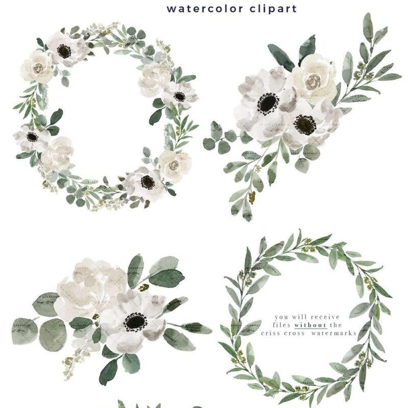 White Watercolor Flowers Clipart Background Border Wreath Bouquet ...