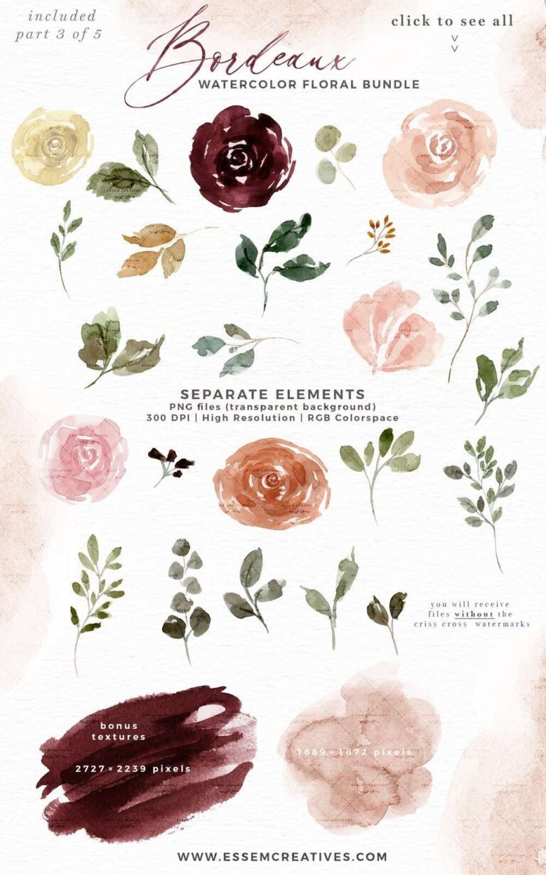 Bordeaux Burgundy Watercolor Flowers Clipart, Fall Floral Graphics ...