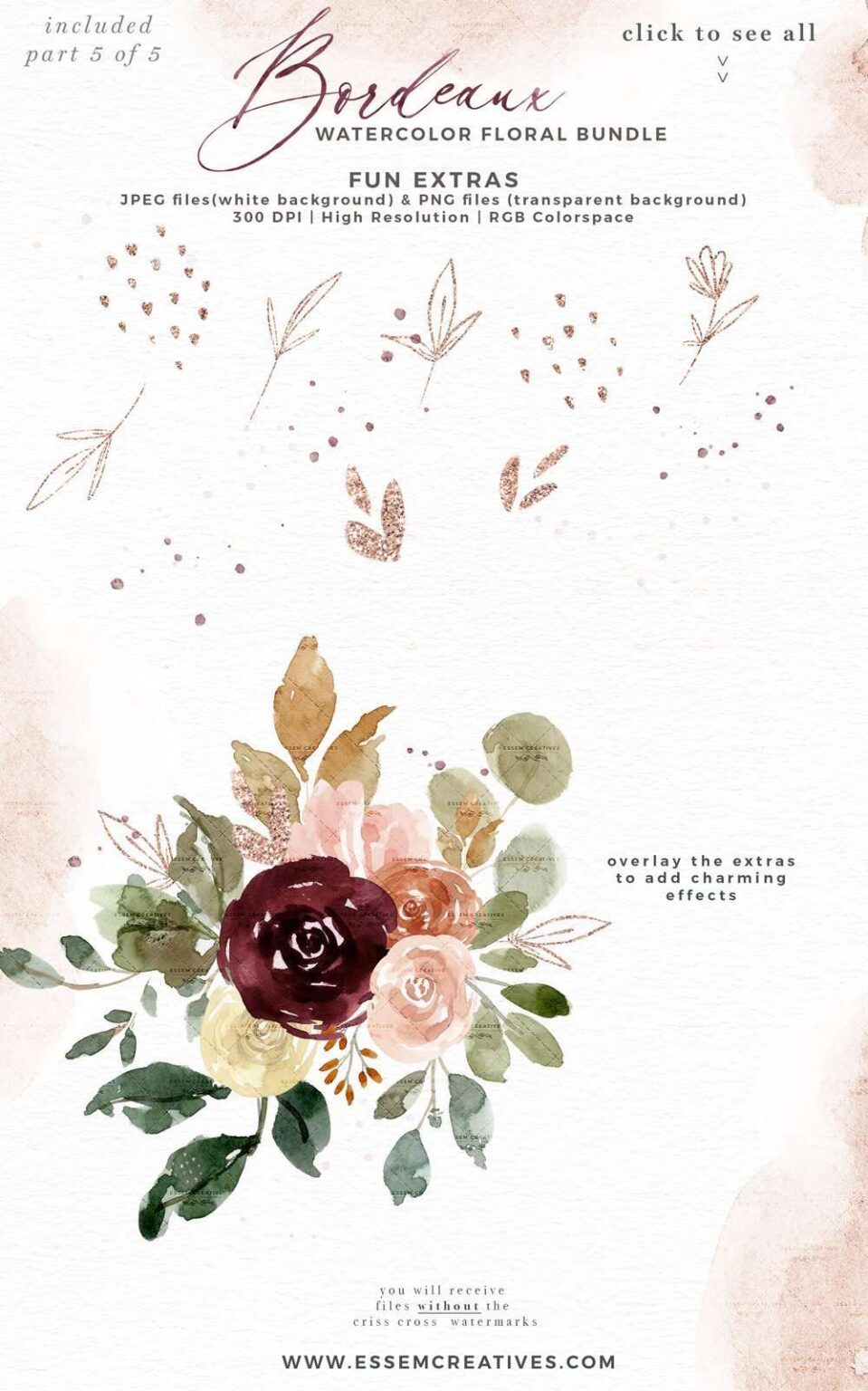 Bordeaux Burgundy Watercolor Flowers Clipart, Fall Floral Graphics ...
