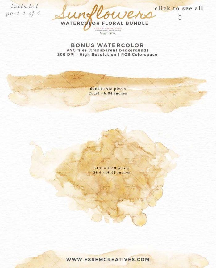 Watercolor Sunflowers Baby's Breath Floral Clipart Painting PNG ...