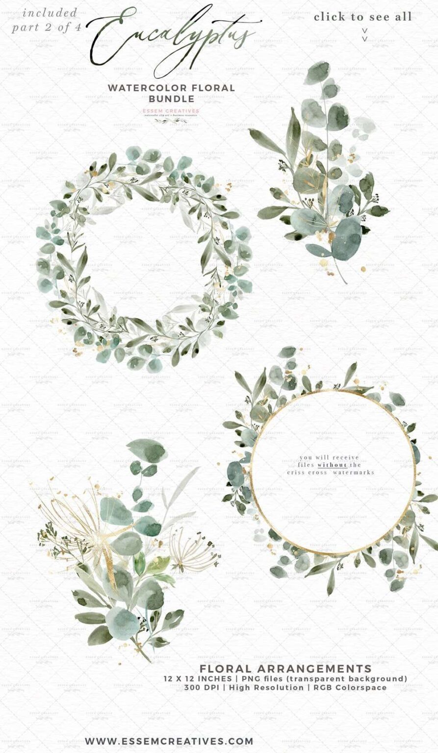 Watercolor Eucalyptus Clipart, Light and Gold Eucalyptus Leaves ...