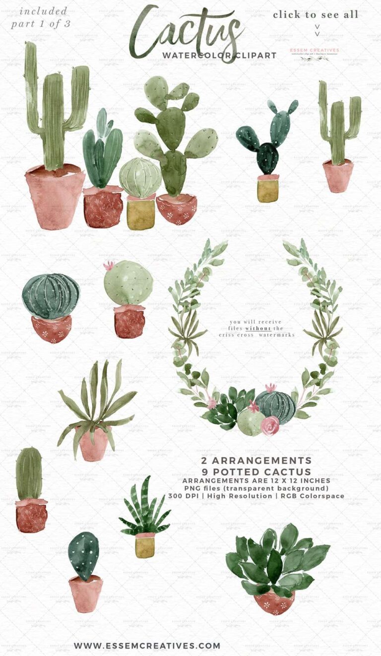 Watercolor Cactus Cacti Clipart, Potted Cactuses House Plants Indoor ...