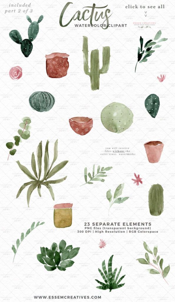 Watercolor Cactus Cacti Clipart, Potted Cactuses House Plants Indoor ...