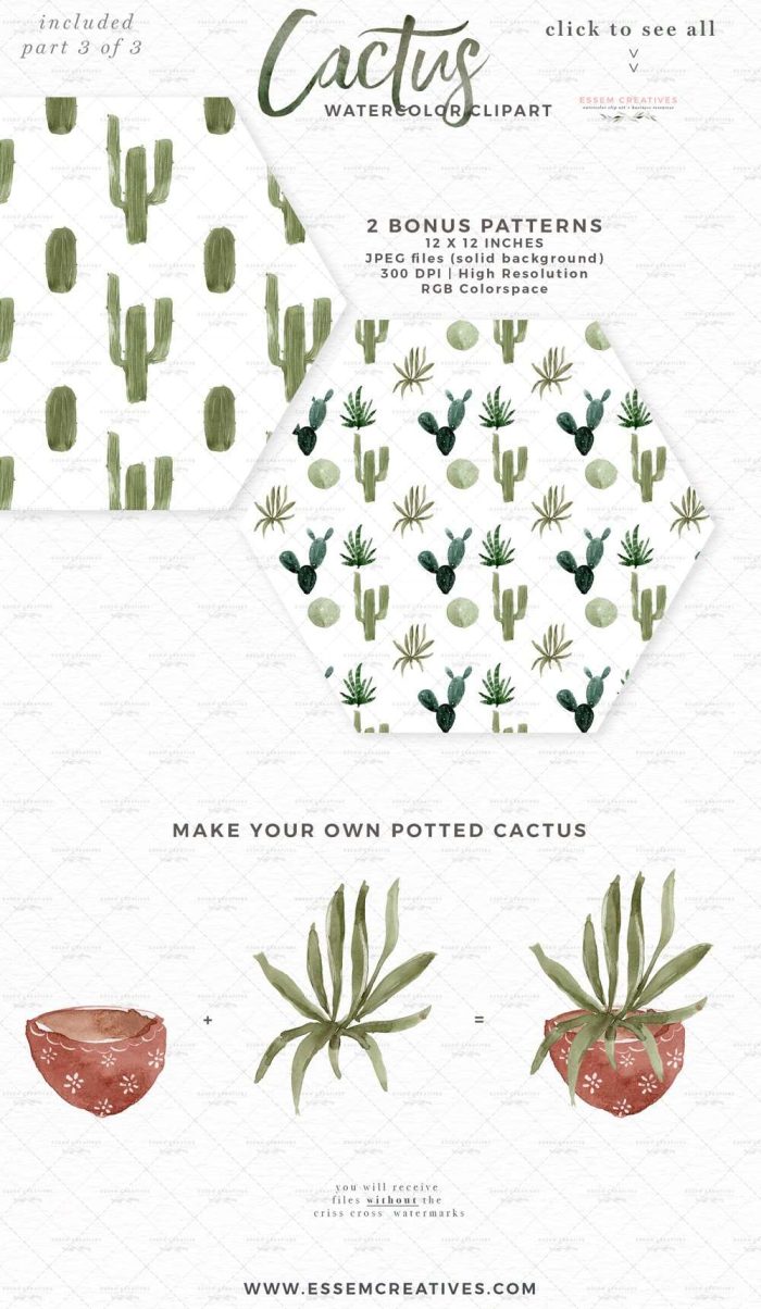Watercolor Cactus Cacti Clipart, Potted Cactuses House Plants Indoor ...