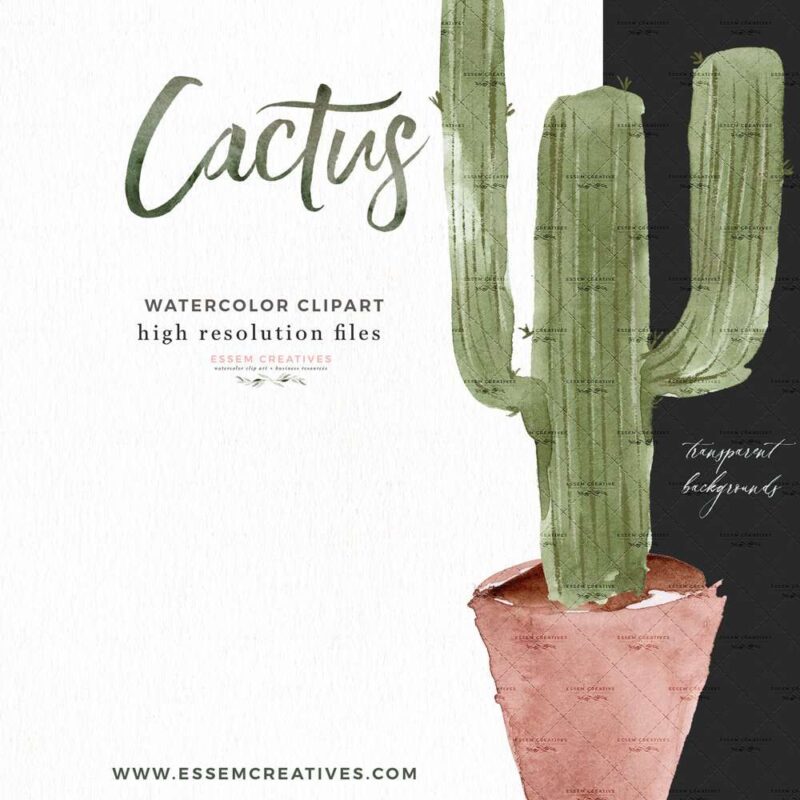 Watercolor Cactus Cacti Clipart, Potted Cactuses House Plants Indoor ...