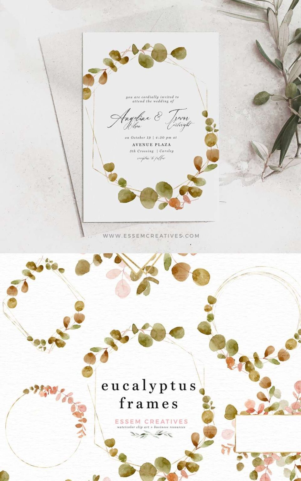 Watercolor Eucalyptus Branches Wreath Leaf Clipart PNG Silver Dollar ...