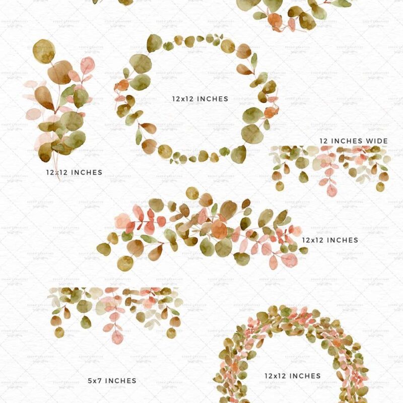 Watercolor Eucalyptus Branches Wreath Leaf Clipart PNG Silver Dollar ...