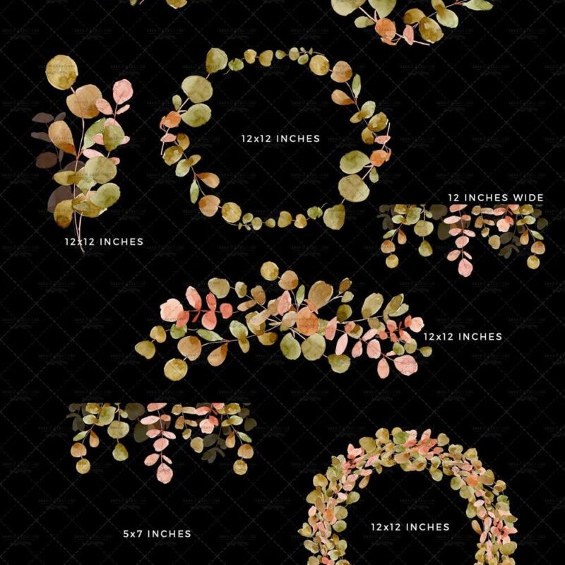 Watercolor Eucalyptus Branches Wreath Leaf Clipart PNG Silver Dollar ...