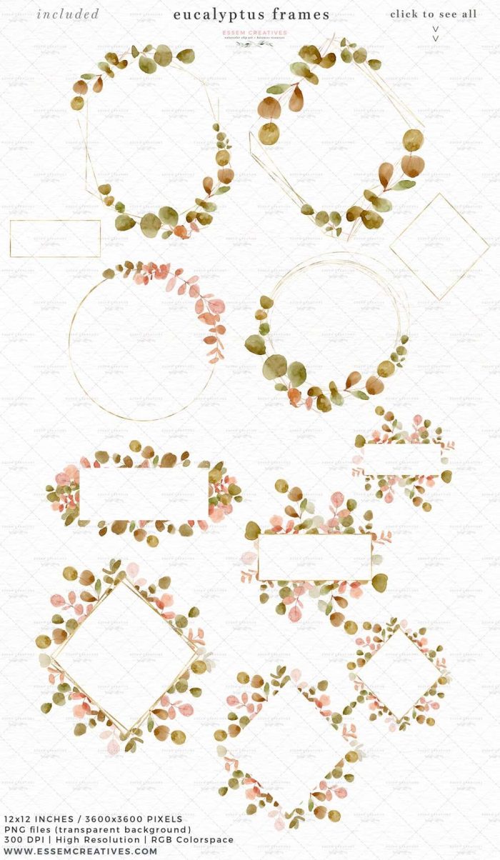 Watercolor Eucalyptus Branches Wreath Leaf Clipart PNG Silver Dollar ...