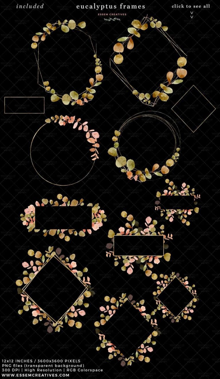 Watercolor Eucalyptus Branches Wreath Leaf Clipart PNG Silver Dollar ...