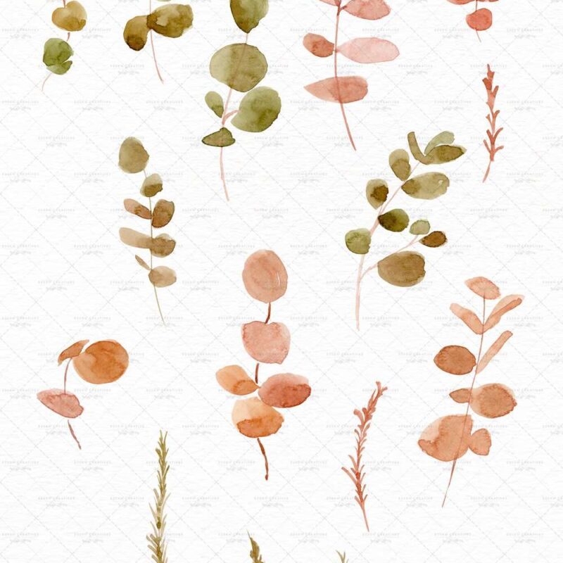 Watercolor Eucalyptus Branches Wreath Leaf Clipart PNG Silver Dollar ...