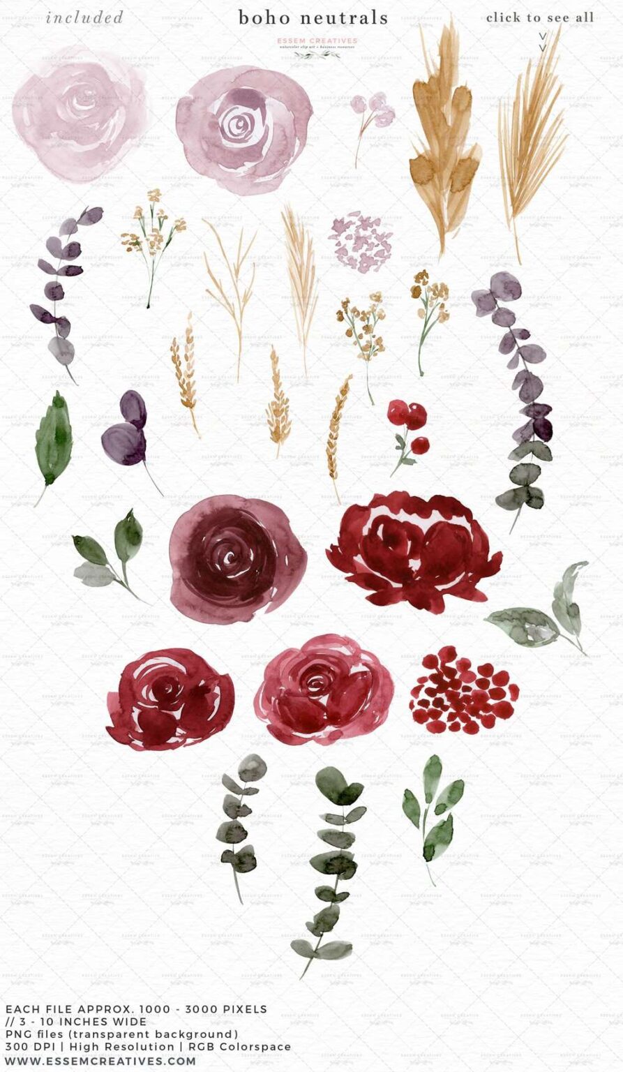 Boho Floral Neutral Watercolor Clipart Graphics Illustrations Card ...
