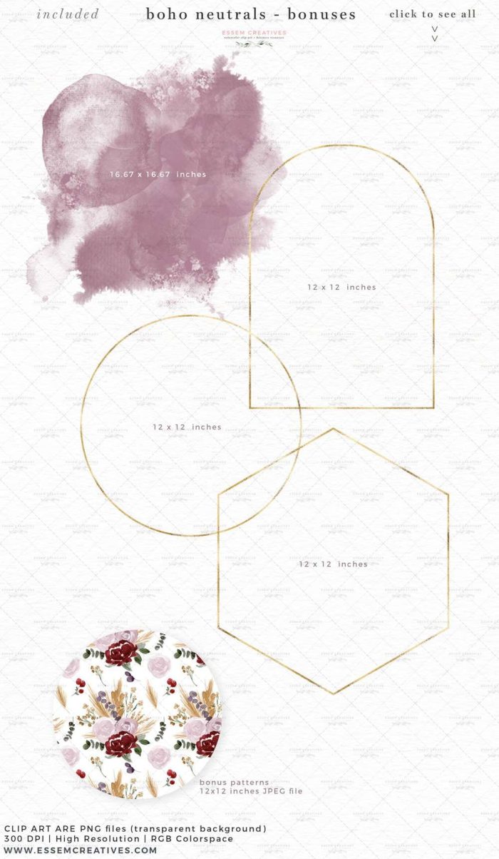 Boho Floral Neutral Watercolor Clipart Graphics Illustrations Card ...