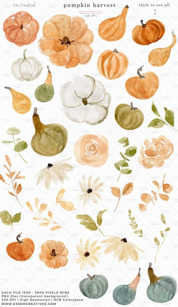 Pumpkin Harvest Floral Clipart, Watercolor Fall Thanksgiving Border ...