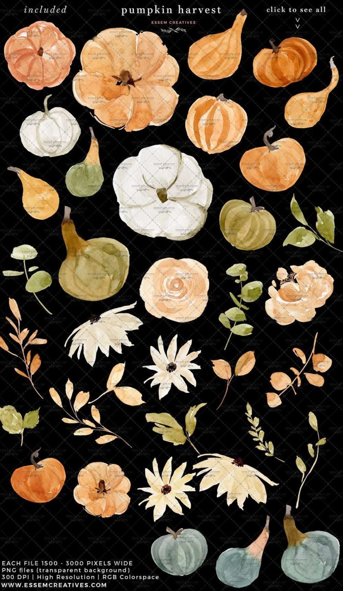 Pumpkin Harvest Floral Clipart, Watercolor Fall Thanksgiving Border ...