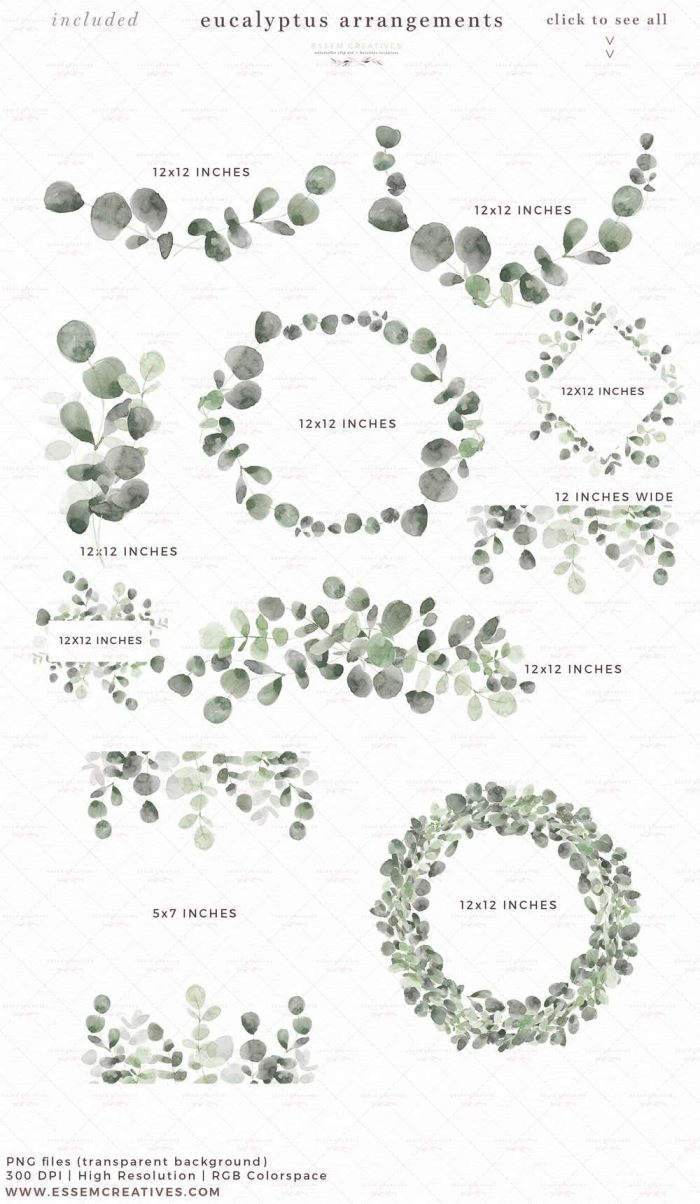 Watercolor Eucalyptus Branch Wreath Leaf Clipart PNG Foliage Greenery ...