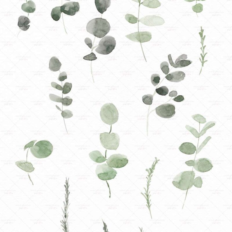 Watercolor Eucalyptus Branch Wreath Leaf Clipart PNG Foliage Greenery ...