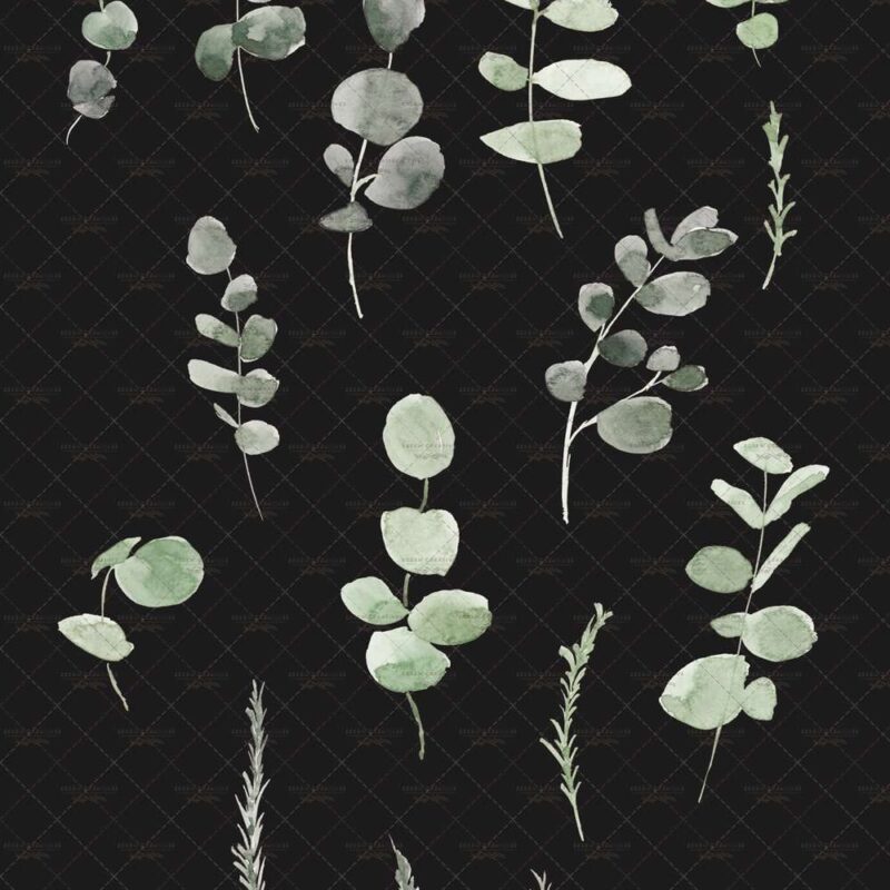 Watercolor Eucalyptus Branch Wreath Leaf Clipart PNG Foliage Greenery ...