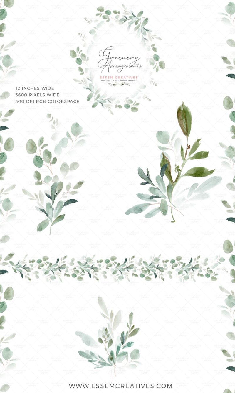 Greenery Watercolor Eucalyptus Clipart Bundle, Wedding Invitation ...