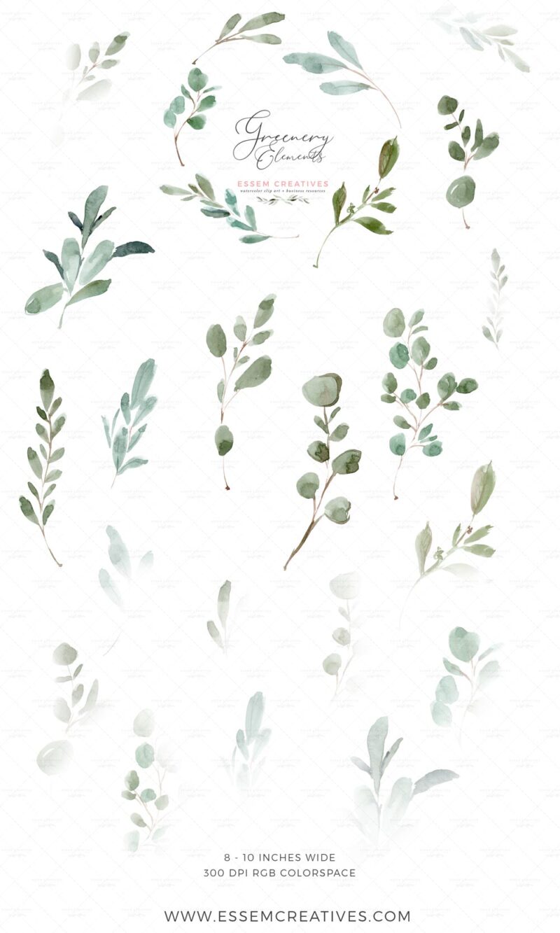 Greenery Watercolor Eucalyptus Clipart Bundle, Wedding Invitation ...